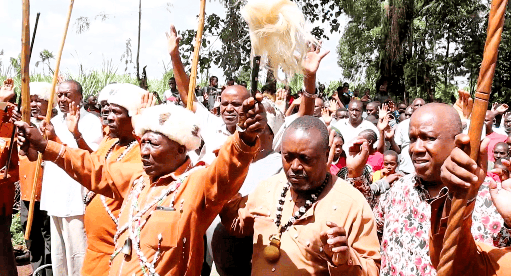 Kikuyu council of Elders Perform Rituals After Mugumo Tree Falls in ...