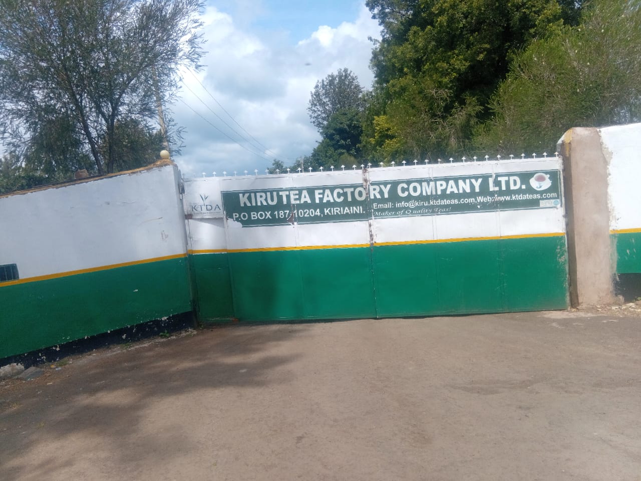 Kiru Tea Factory launches avocado diversification drive to boost ...