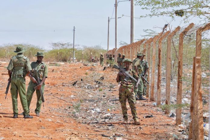 Kenya Reopens Somalia Border to Revive Miraa Trade and Support Farmers ...