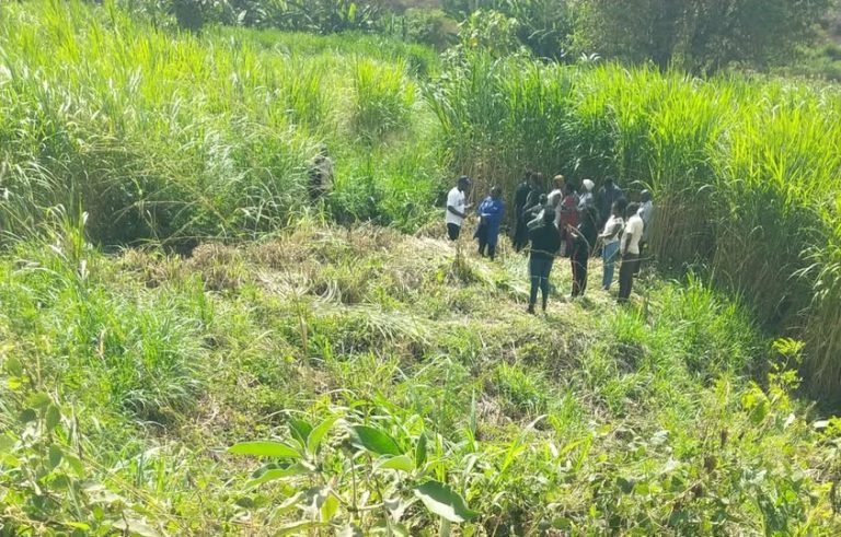 Missing woman found dead in Thika - Kiambu Tv